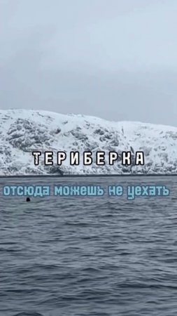 Кольский. Териберка. Баренцево море. Северный Ледовитый океан. Киты. Морские котики. Сияние.