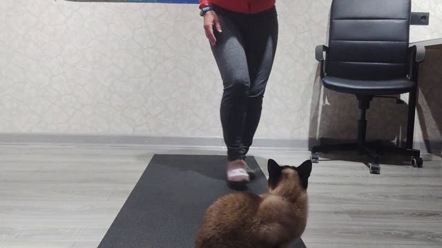 2023 9 Алиса и тренировка