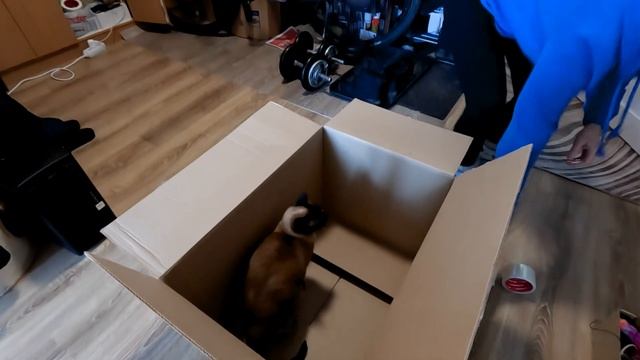 3 Сбор вещей