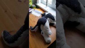 @angelinka-minecraftinka8849  ребят видео мое. Уборка на столе 😁😘🥳