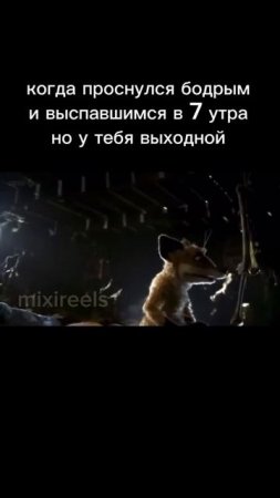 когда выспался в выходной