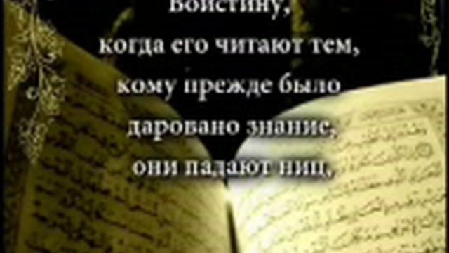 МИШАРИ_