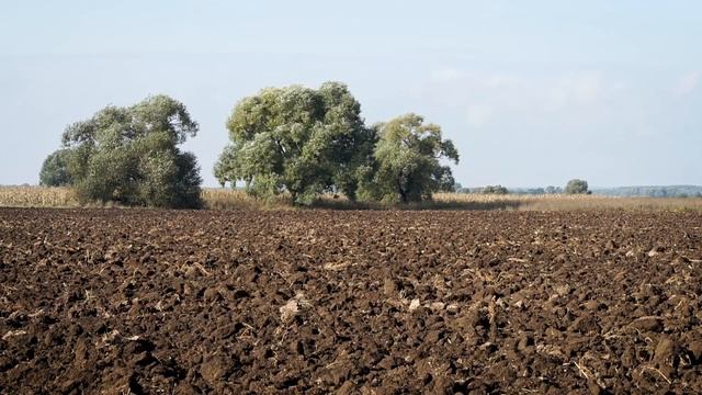 Тропа Паустовского. Окские просторы | Рязанская область