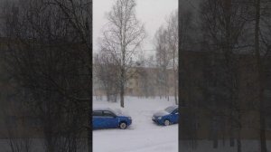 ....Ещё вчера была пурга вот такая! А сегодня ,друзья, уже светит тёплое весеннее  солнышко !!!