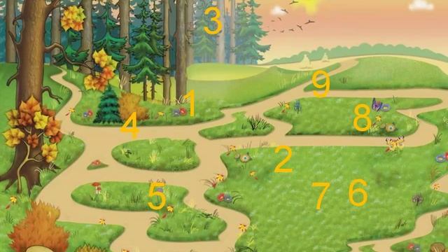 математика 5-6 лет