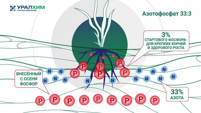 АзотоФосфат от Группы "Уралхим"