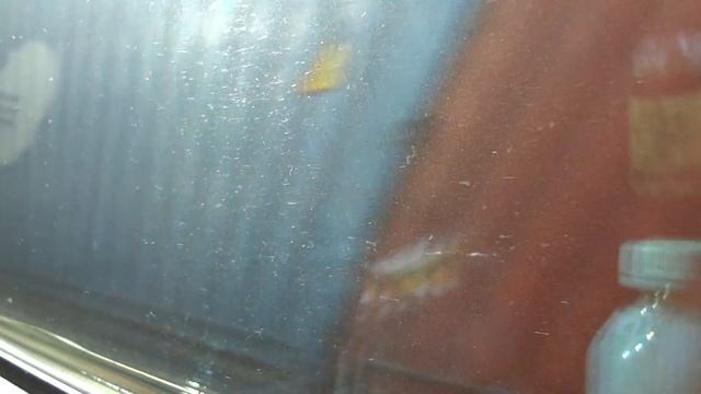 часть 20.  23.08.2023 08-36 по 11-23