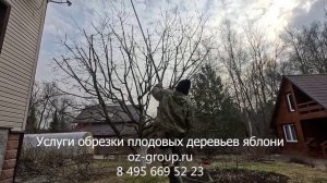 Услуги весенней обрезки плодовых деревьев яблонь. Выезд агрономов по Москве и области. Звоните!