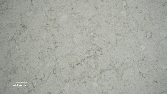 Кварцевый камень Wild Yucca TECHNISTONE