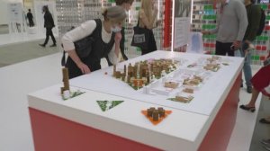 Архитектурный концептуальный макет реновации района "Метрогородок".