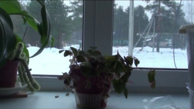 Времена года_021