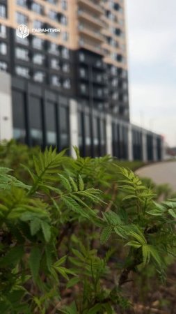 Весна в ЖК "Гарантия на Обрывной"