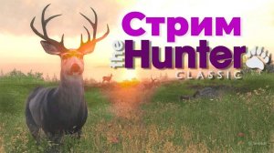 The Hunter Classic:: Скрытная Охота в Прямом Эфире! #10