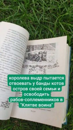 Хорошая книга для души. Клятва воина - детское фэнтези из серии "Рэдволл"