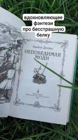 Непобедимая Моди из серии "Рэдволл"