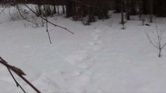 Времена года_023