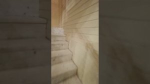 Шпонированные двери