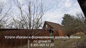 Услуги обрезки и формирования плодовых деревьев. Выезд агрономов по Москве и области. Звоните!