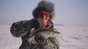 Рыбалка на судака в феврале на Новосибирском водохранилище.