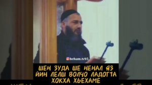 ШЕН ЗУДА ШЕ НЕНАЛ ЯЗ ЙИН ЛЕЛШ ВОЛЧО ЛАДОГ1А