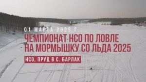 Чемпионат Новосибирской области по ловле на мормышку со льда - 2025!