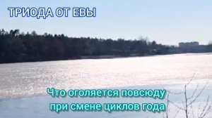 ТРИОДА ОТ ЕВЫ "НА СМЕНУ СЕРЫМ БУДНЯМ ..."