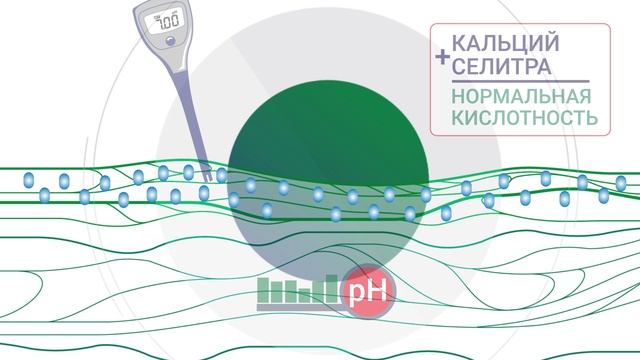 Известково-аммиачная селитра (ИАС) от Группы "Уралхим"