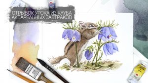 Фрагмент видеоурока из клуба Акварельных завтраков - рисуем бурундука с цветами. Набросок карандашом