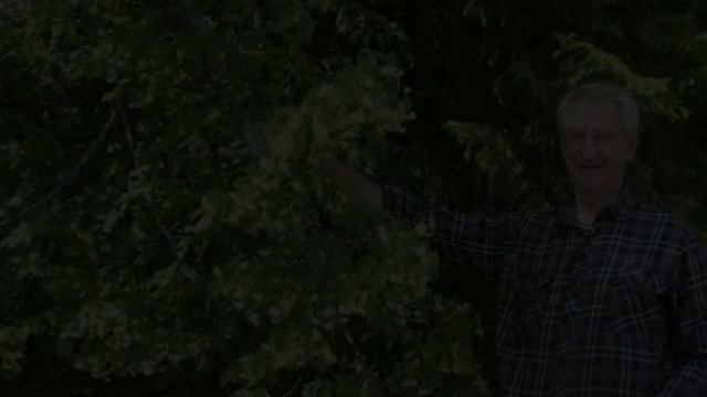 Времена года_012