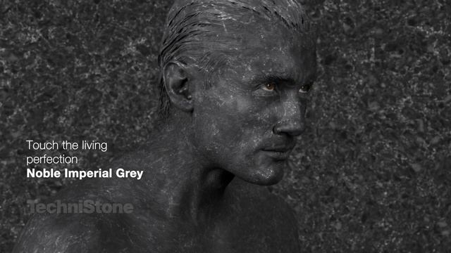 Кварцевый камень Noble Imperial Grey TECHNISTONE (Stone With Soul)