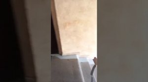 подготовка к ремонту подъезда Б.Х.54