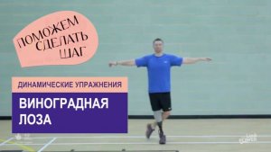 «Виноградная лоза»