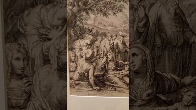 Персей освобождает Андромеду от морского чудовища.