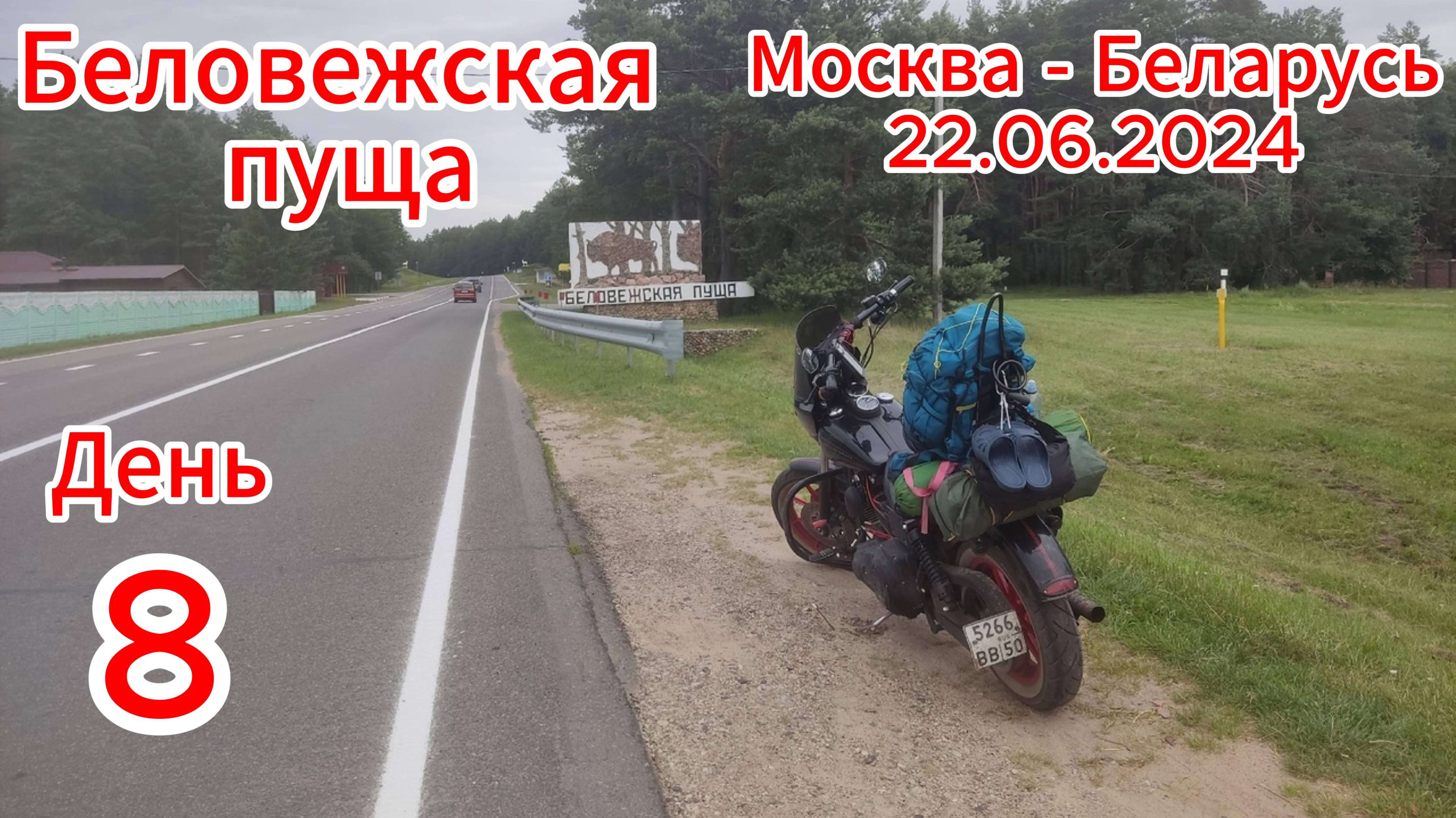 День 8. Беловежская пуща - Коссово - Волковыск