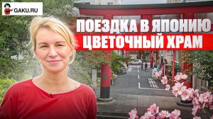 Поездка в Японию. Цветочный храм "Камэйдо Тэндзин"
