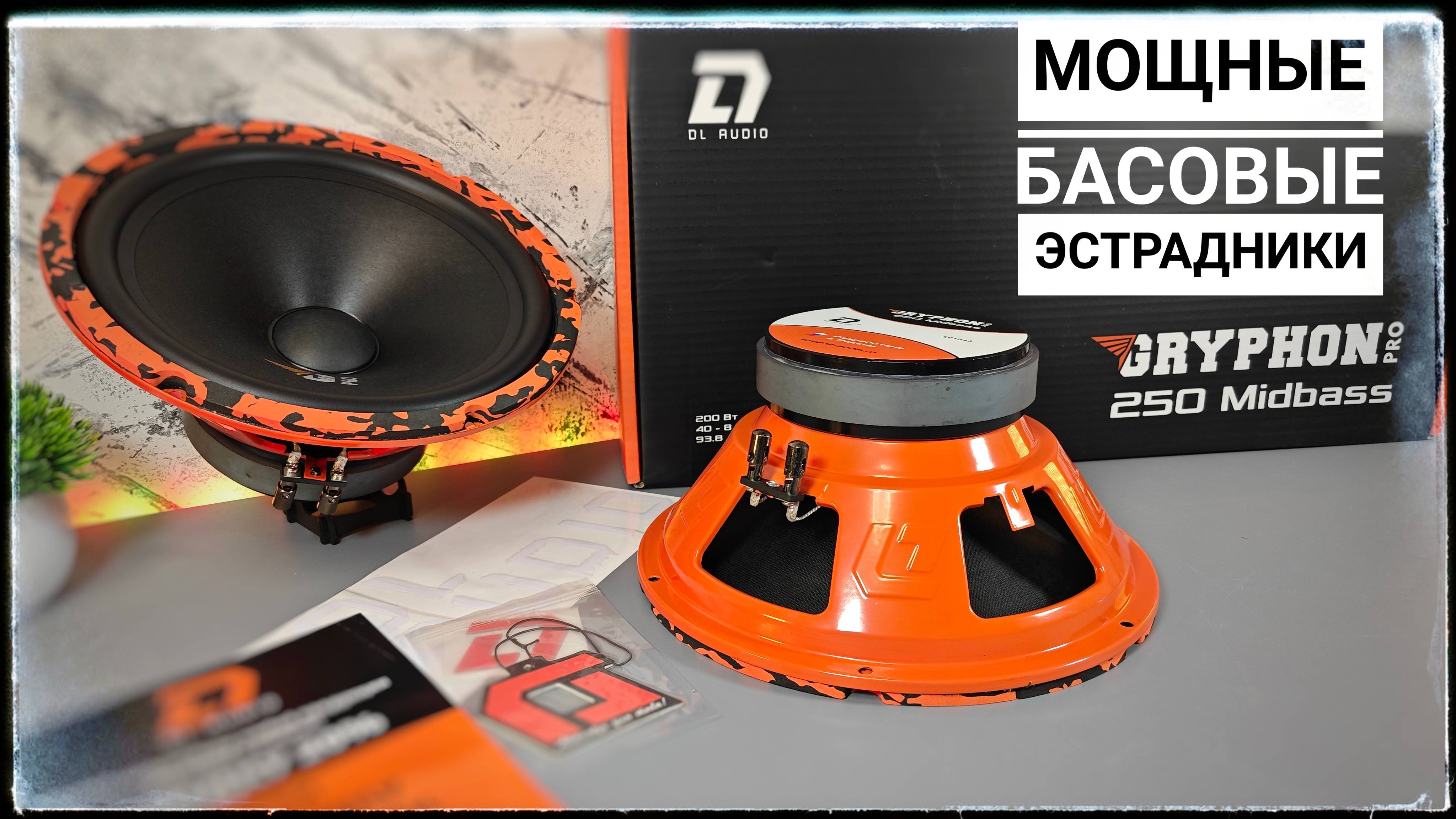 Почему стоит выбрать динамики DL Audio Gryphon Pro 250 Midbass Настоящий Мидбас терминатор