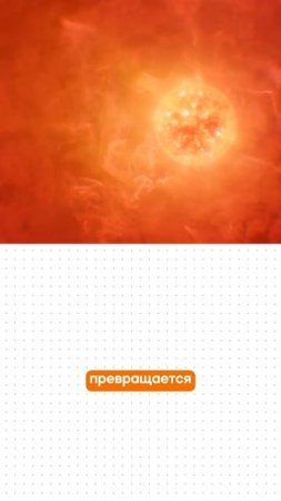 У света есть разум?