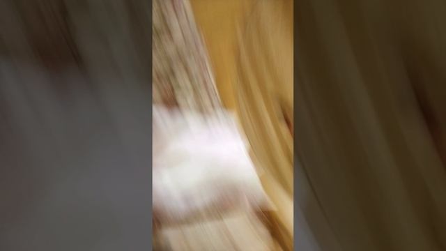 прятки у друга
