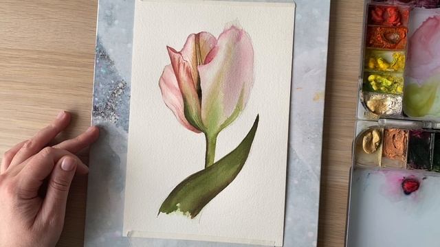 Тюльпан акварелью. Часть 5. Второй слой и проработка деталей