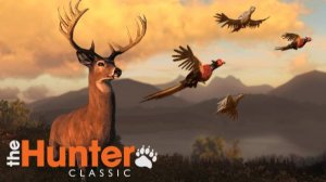 The Hunter Classic:: Скрытная Охота в Прямом Эфире! #11 +Миссии +Фарм и.д.