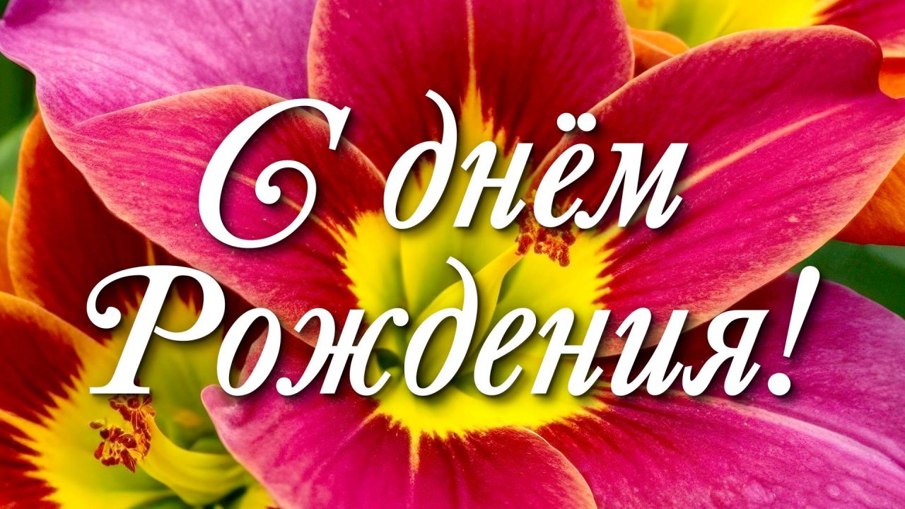 С ДНЁМ РОЖДЕНИЯ ! Шикарная песня! Самое красивое поздравление для женщины!