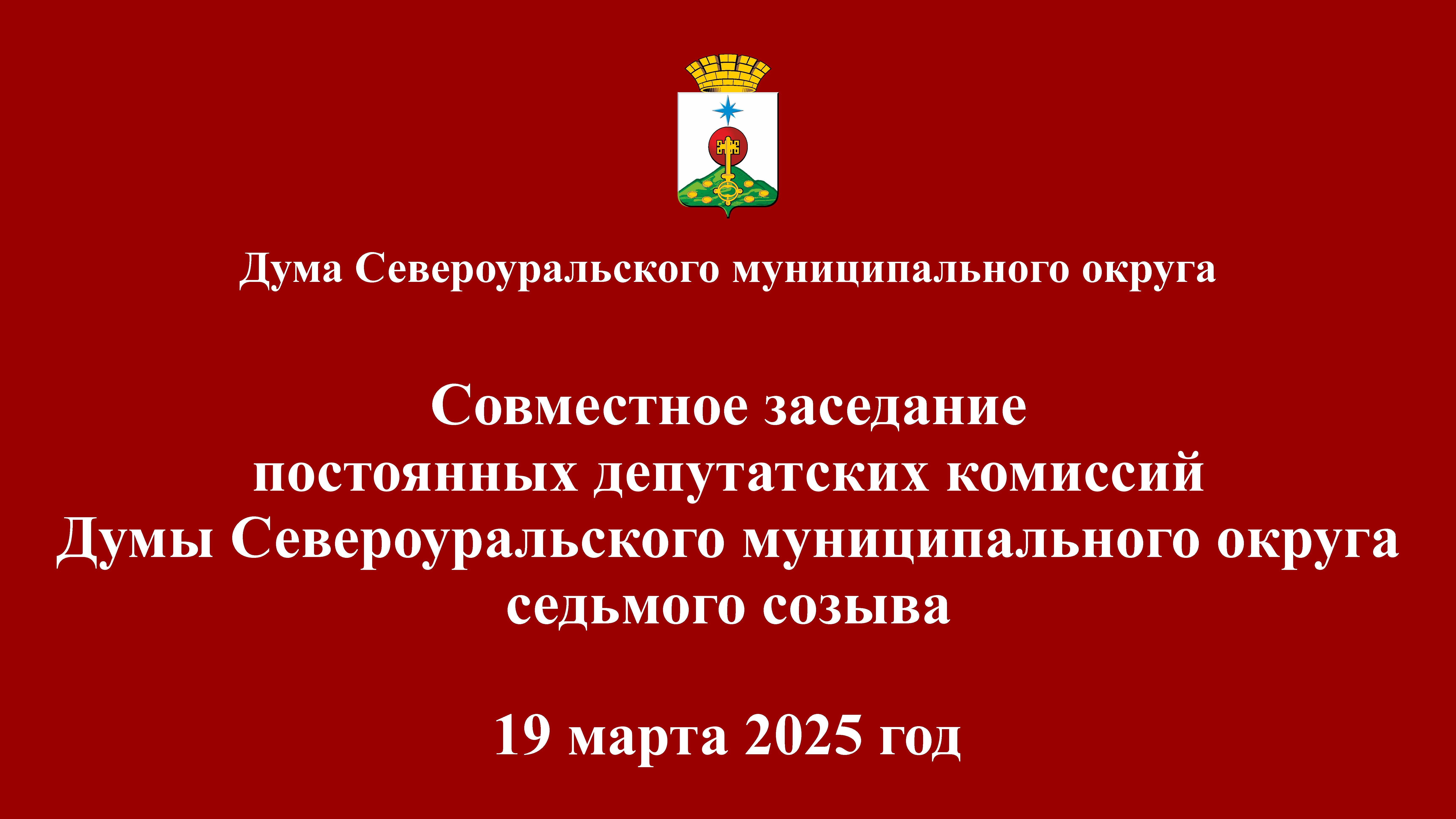 Совместное заседание постоянных депутатских комиссий 19.03.2025