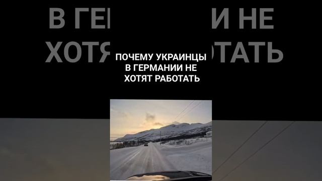 ПОЧЕМУ УКРАИНЦЫ В ГЕРМАНИИ НЕ ХОТЯТ РАБОТАТЬ