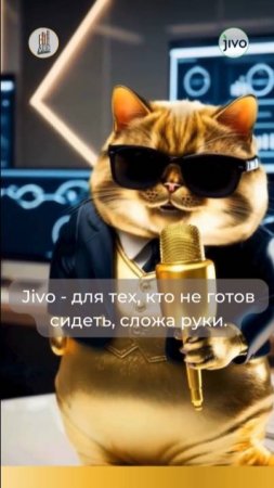 Jivo