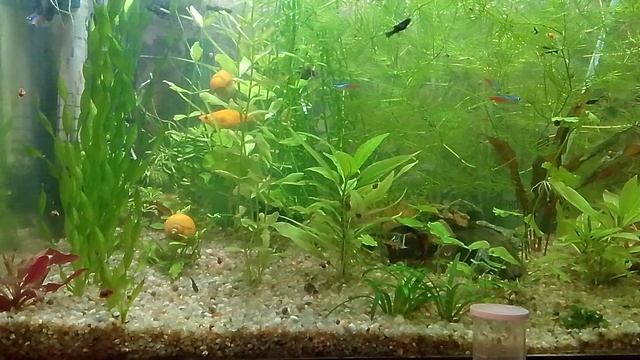 18 марта параметры воды по тестам очень даже ничего