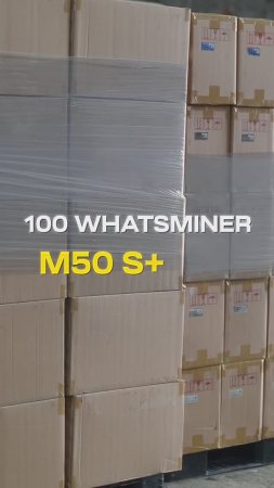 Отгрузка 100 Whatsminer M50 S+ на нашем складе в Одинцово!