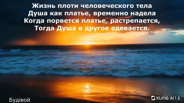 2 Плоть - платье