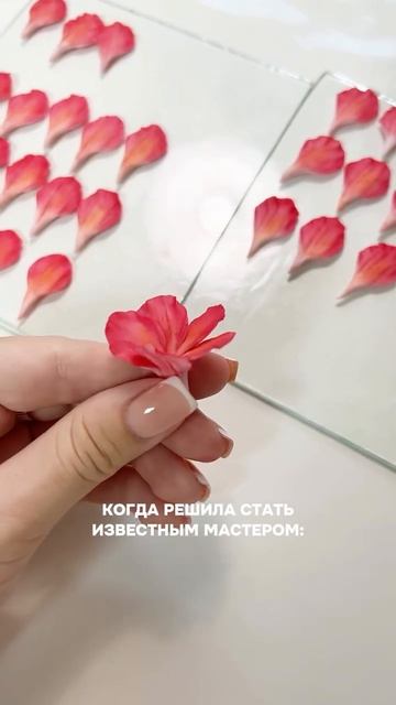 Привет моим трем подписчикам 😅😅