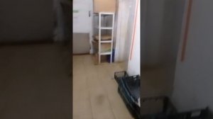 ооо кимчи проджект