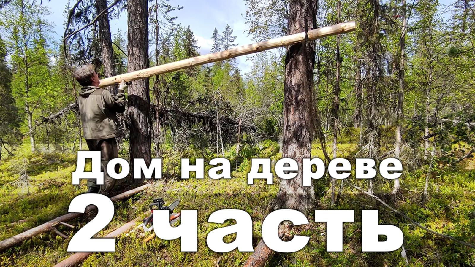 2 часть_Строительство дома на дереве